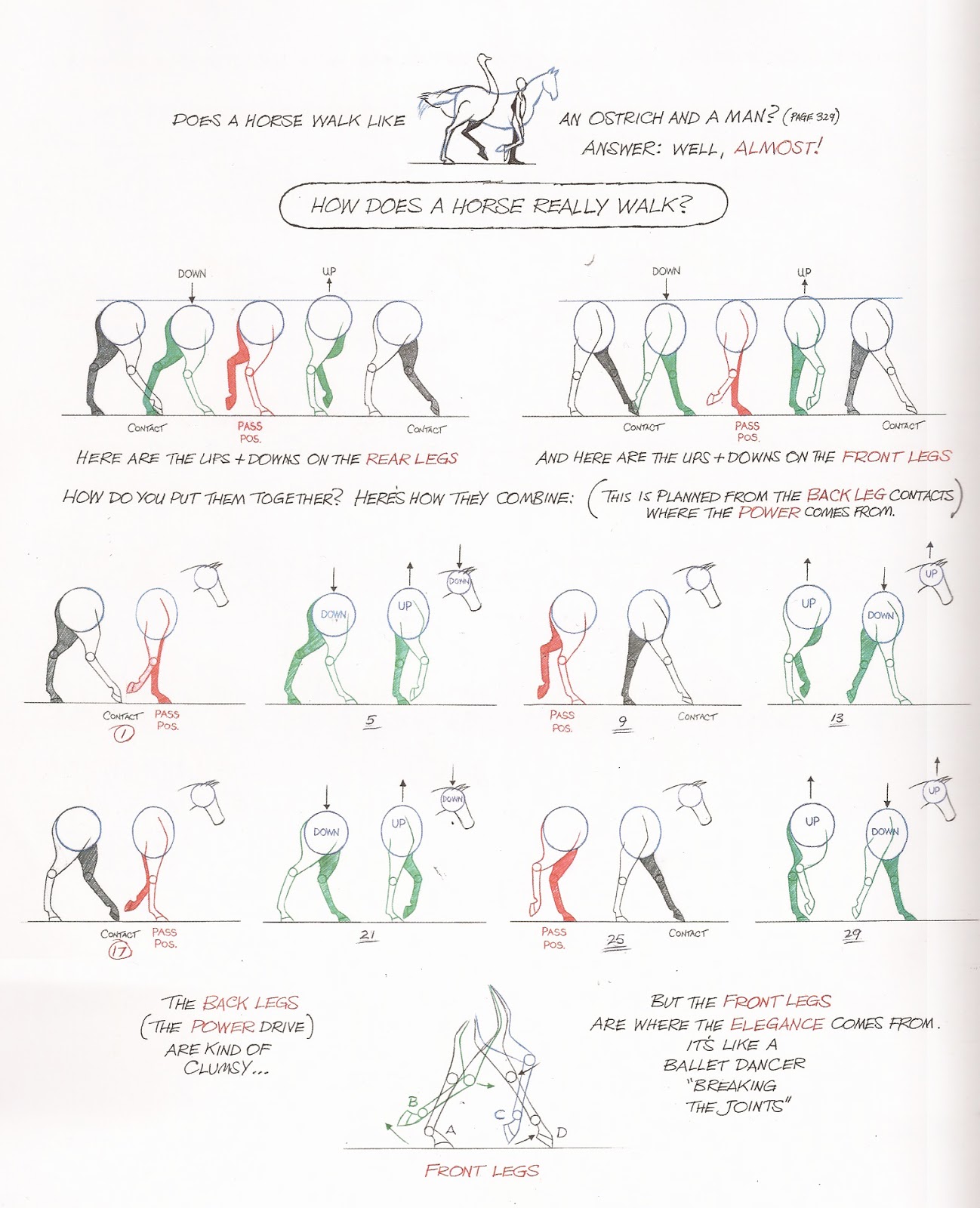 The Advanced Animation Skills Workshop: The Quadruped Walk Cycle: week 1