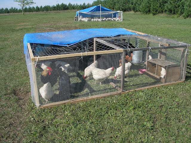 The Cheerful Agrarian: Simple, Light Chicken Tractors