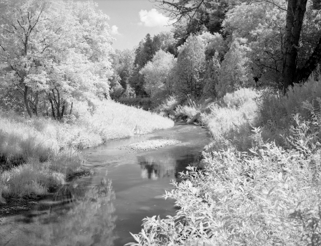 A Year On Film: The Majestic Beauty.. of IR Film