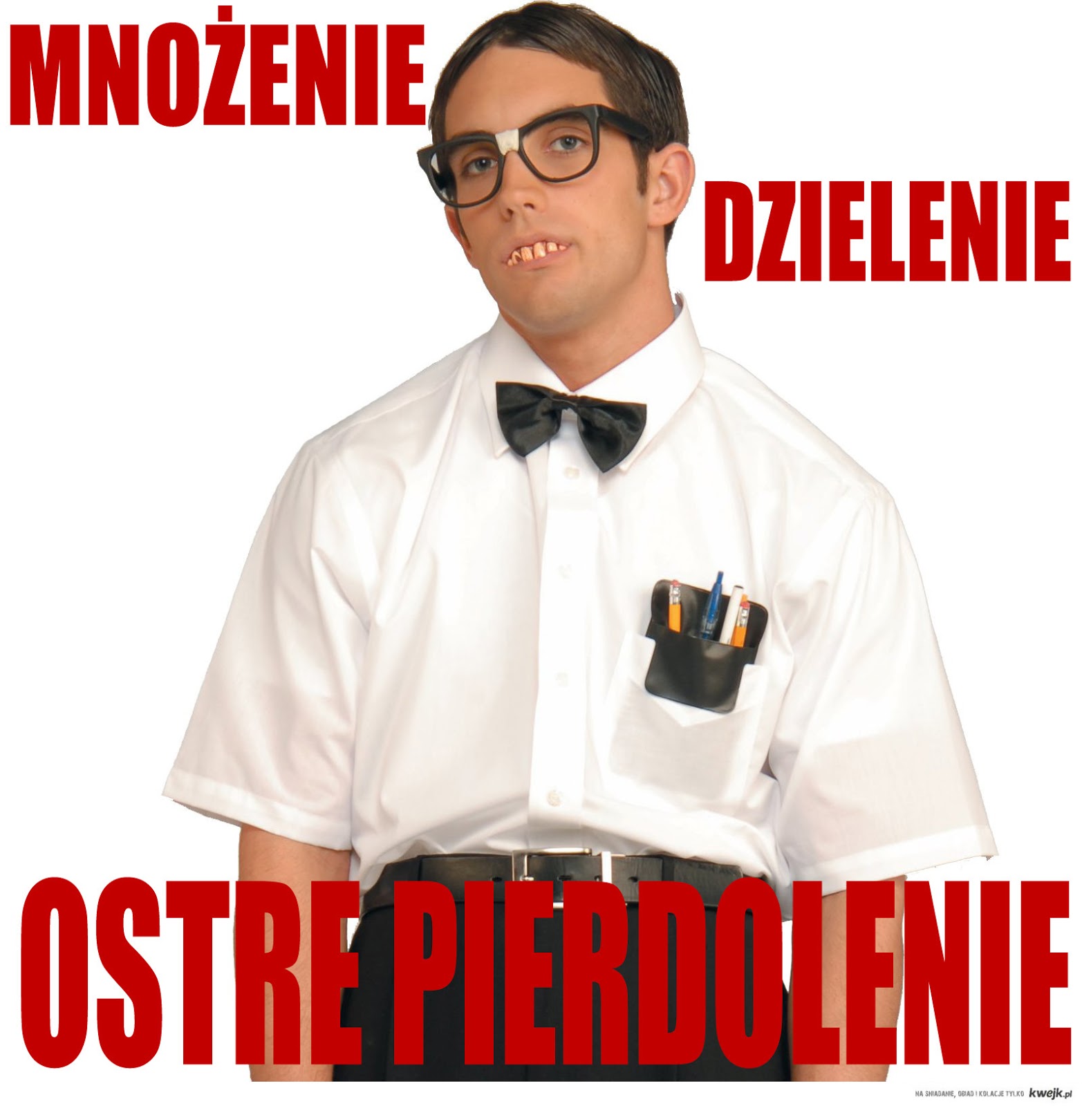 Gimbus BLOG: Rodzaje Gimbusów