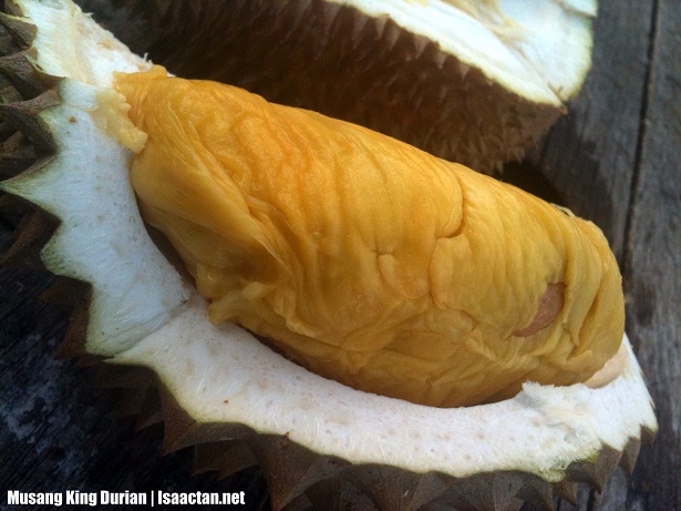 Isaactan.net: Musang King Durians