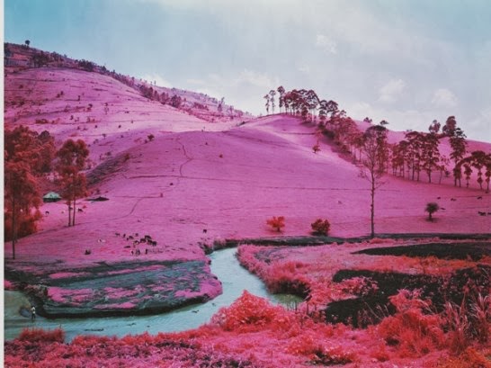 Curiosidades del Mundo: El fenómeno climático de la nieve rosa ...