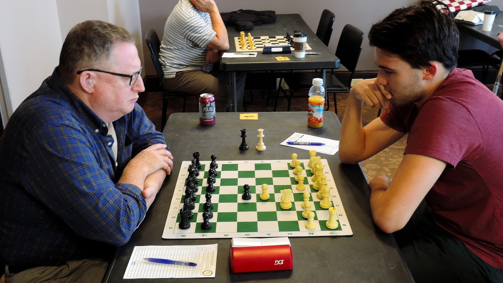 Vermont Chess News: Danville Open Won by IM Matyas Marek of the Czech ...