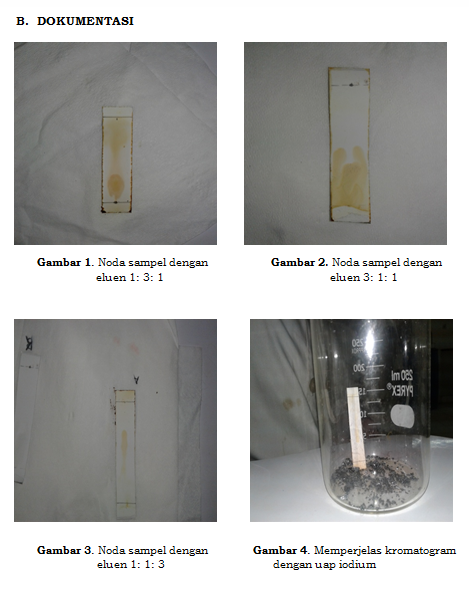 VIKRI HIDAYAT: LAPORAN KROMATOGRAFI LAPIS TIPIS