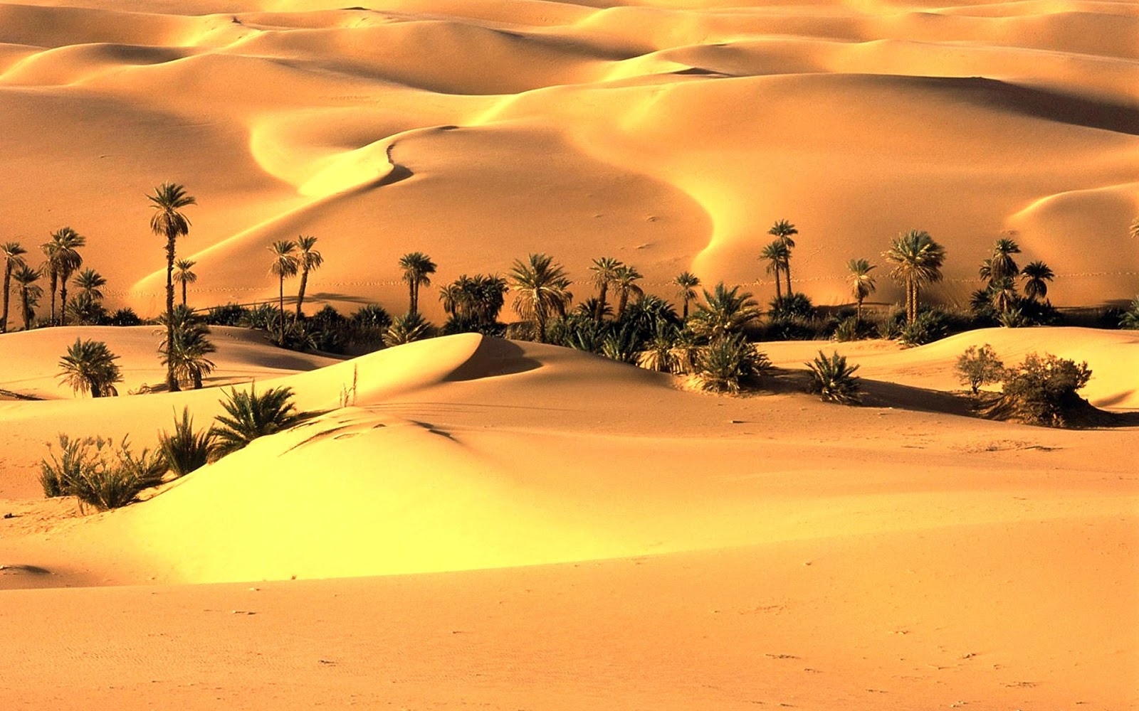 'THAR DESERT ON THE OTHER SIDE'