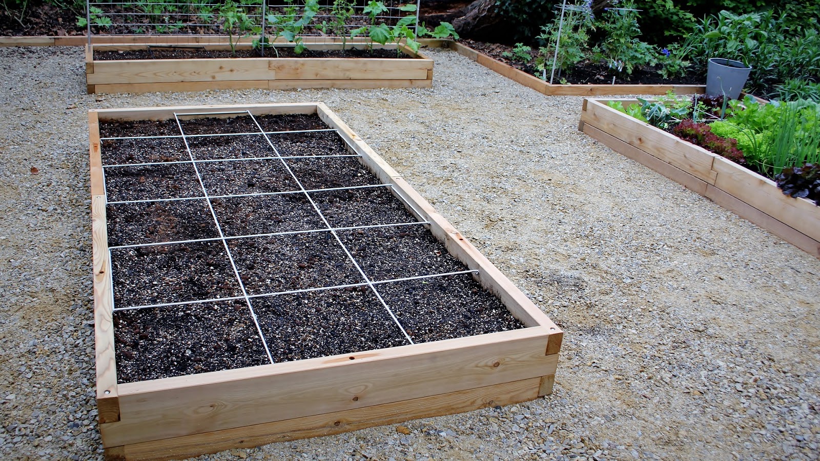 Een moestuin met houten moestuinbakken, precies zoals jij het wil!