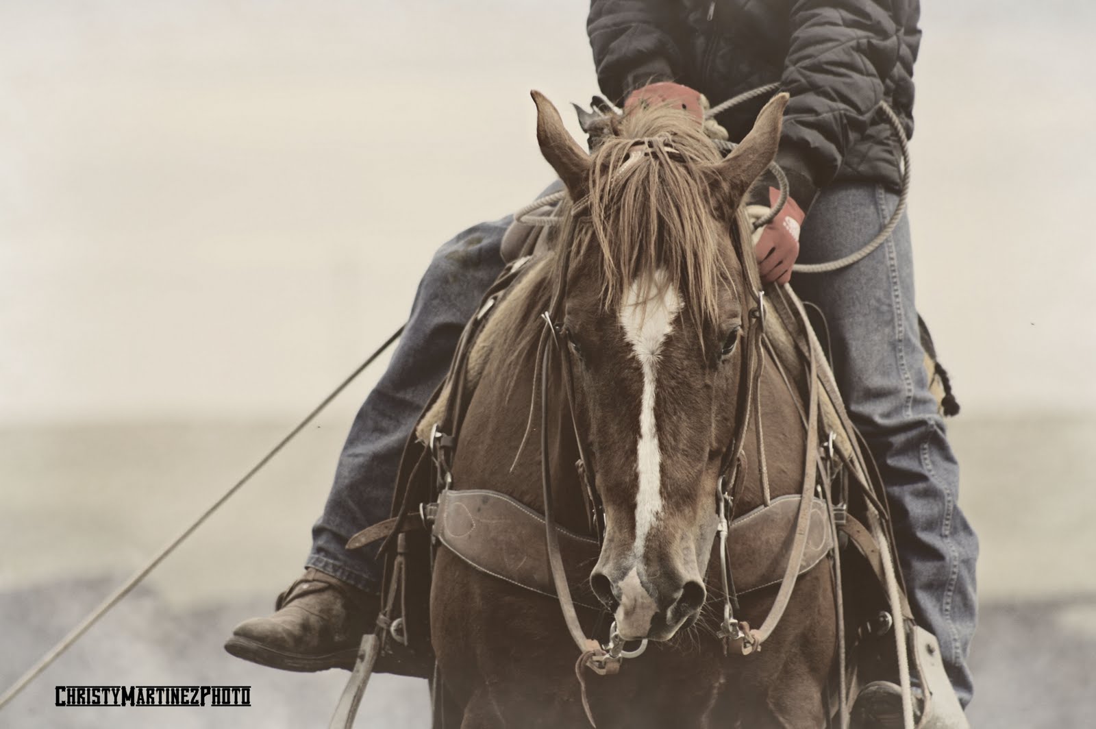 Pony Riding By: Weekend in Photos: Honest Horses