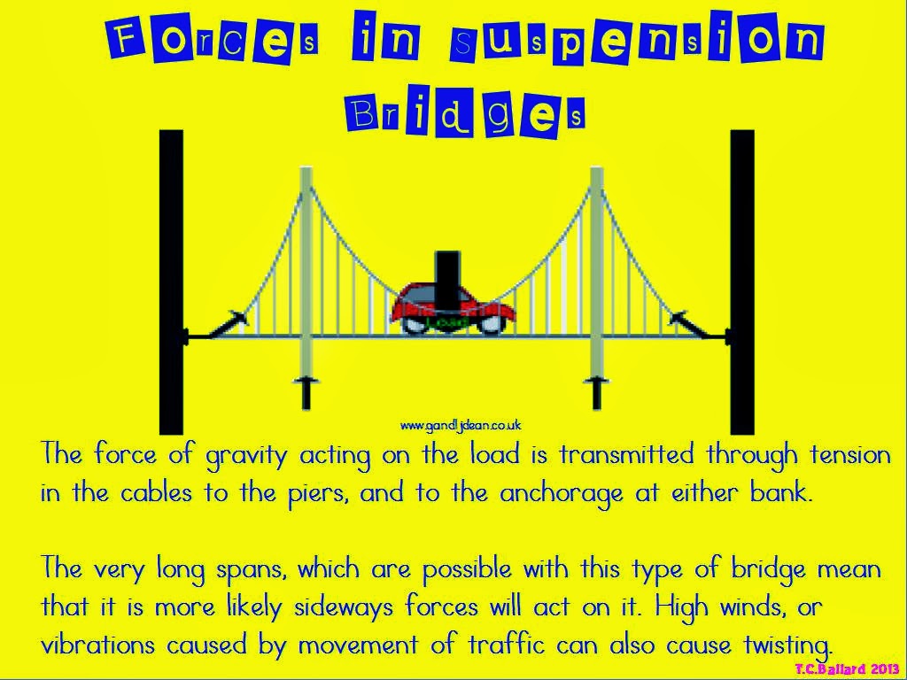 Thee Busy Bee: Forces on Bridges!!! A STEM Lesson for Bridge Lovers