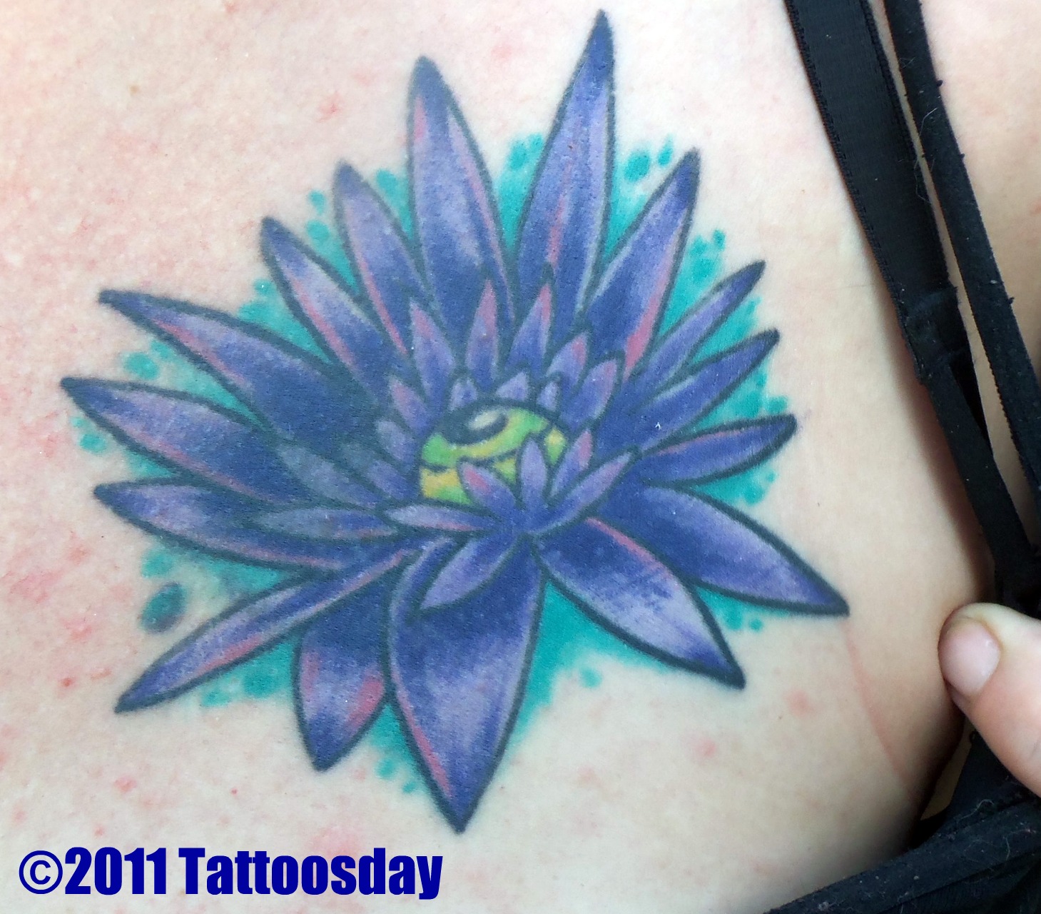 Tattoosday (A Tattoo Blog): Alison's Violet Lotus