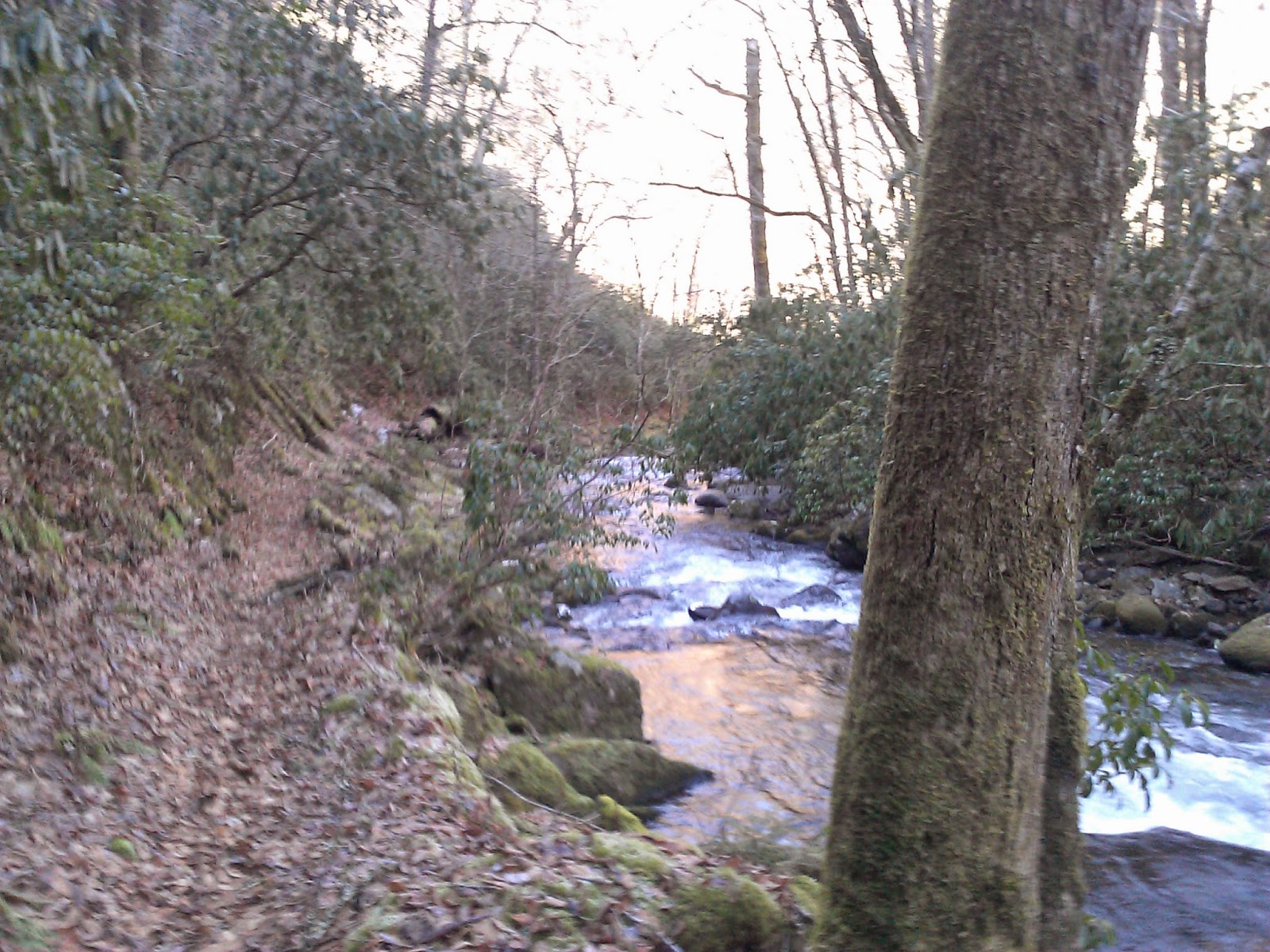 Hikes: Deep Creek - Martins Gap - Sunkota Ridge - Thomas Divide