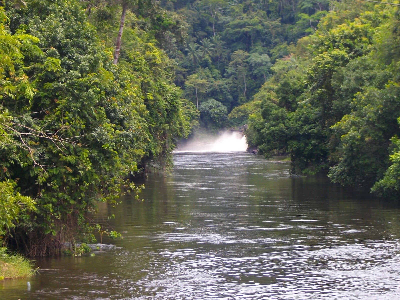séjour au Gabon: De La Lékédi à Léconi