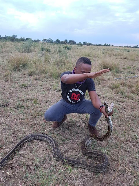 PICS : TAKING SNAKES FOR A WALK | Mafaro