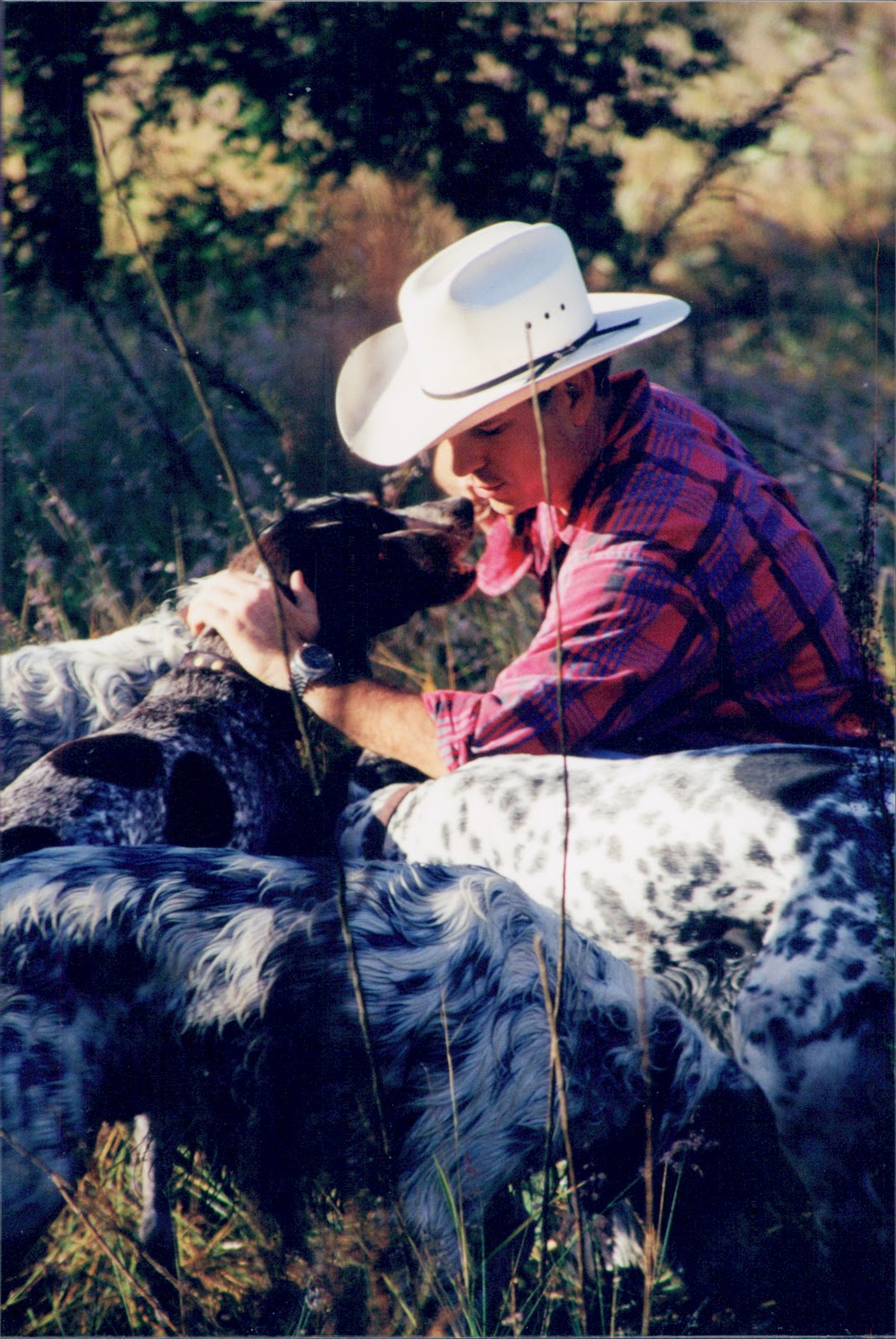 Orlando Street Photography: Bird Dogs