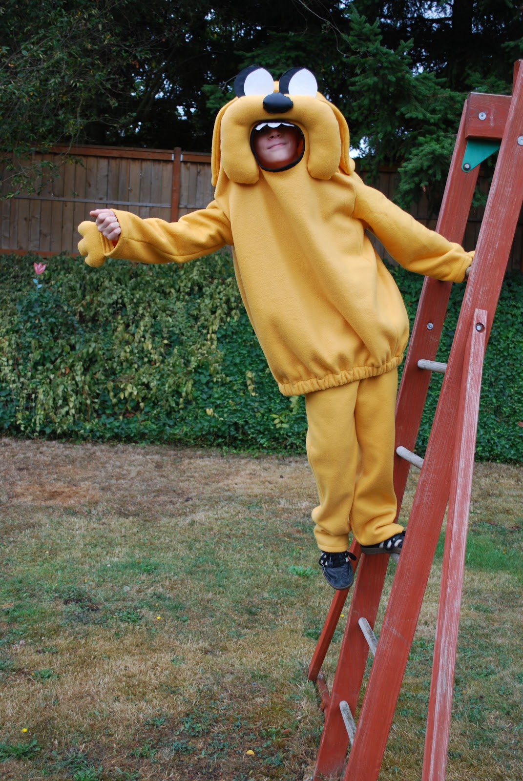 Adventure Time Jake Costume
