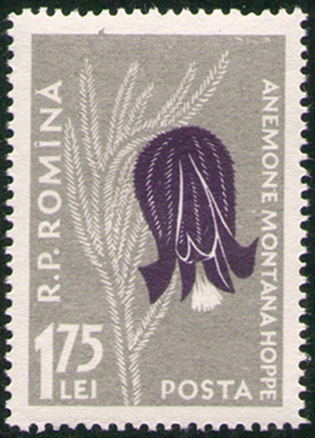 Timbre filatelice: Timbre filatelice cu flori din muntii Carpati