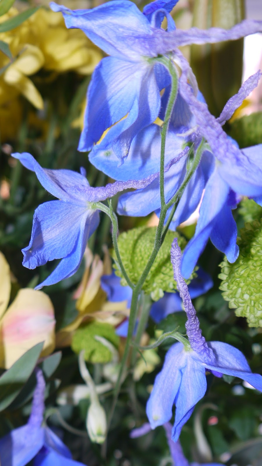 Inside the Wendy House: Wiggly Wigglers...More Than Just Worms!!