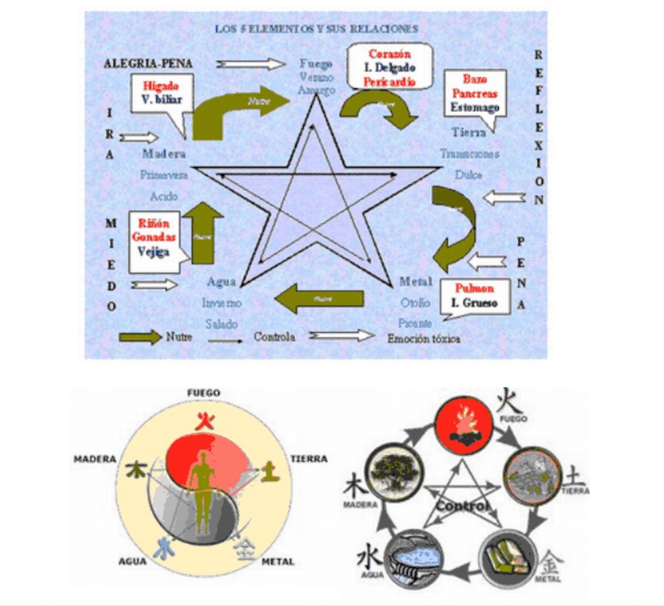 Terapias Holísticas Integradas: Teoría de los Cinco Elementos, Elemento ...