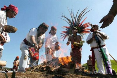 Brassavola Digbyana: Los Lencas