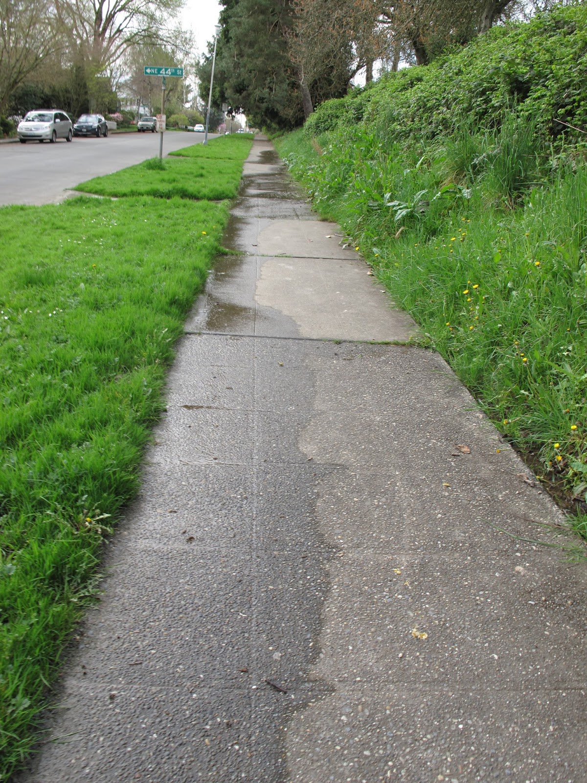 Laurelhurst Blog: Why Is 48th Avenue NE Sidewalk On East Side Of Park ...
