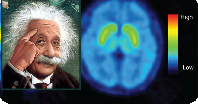 Psihologie la zi: Simțurile minții