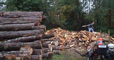 Bryk City Landscaping: Firewood