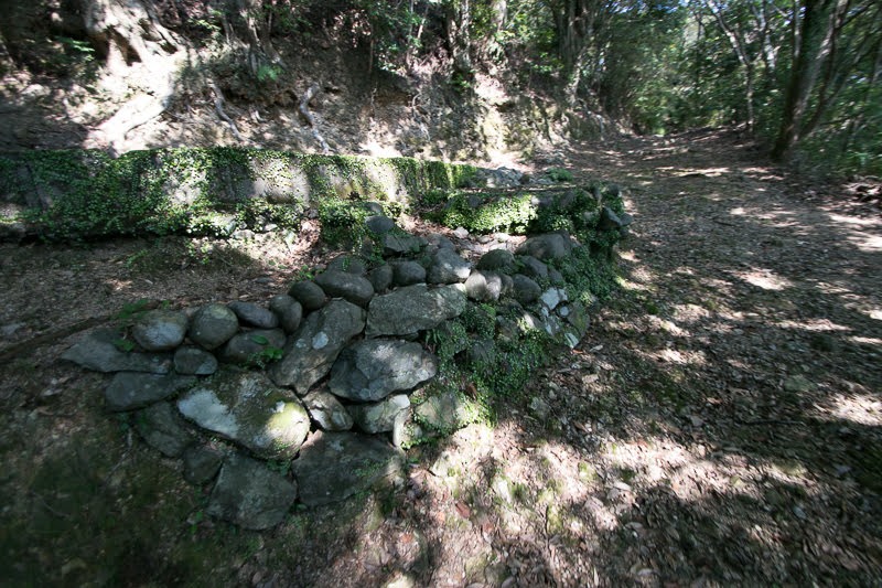 Nakamura Castle (Tosa) -History of island hero (5) Beat of benefactor ...