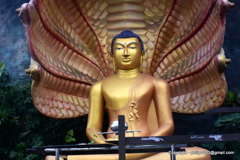 philipveerasingam: 'Mahameyuwana Buddhist Temple; Pittugala, Kaduwela ...