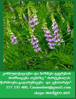 ბიზნეს გეგმები: ძირტკბილა