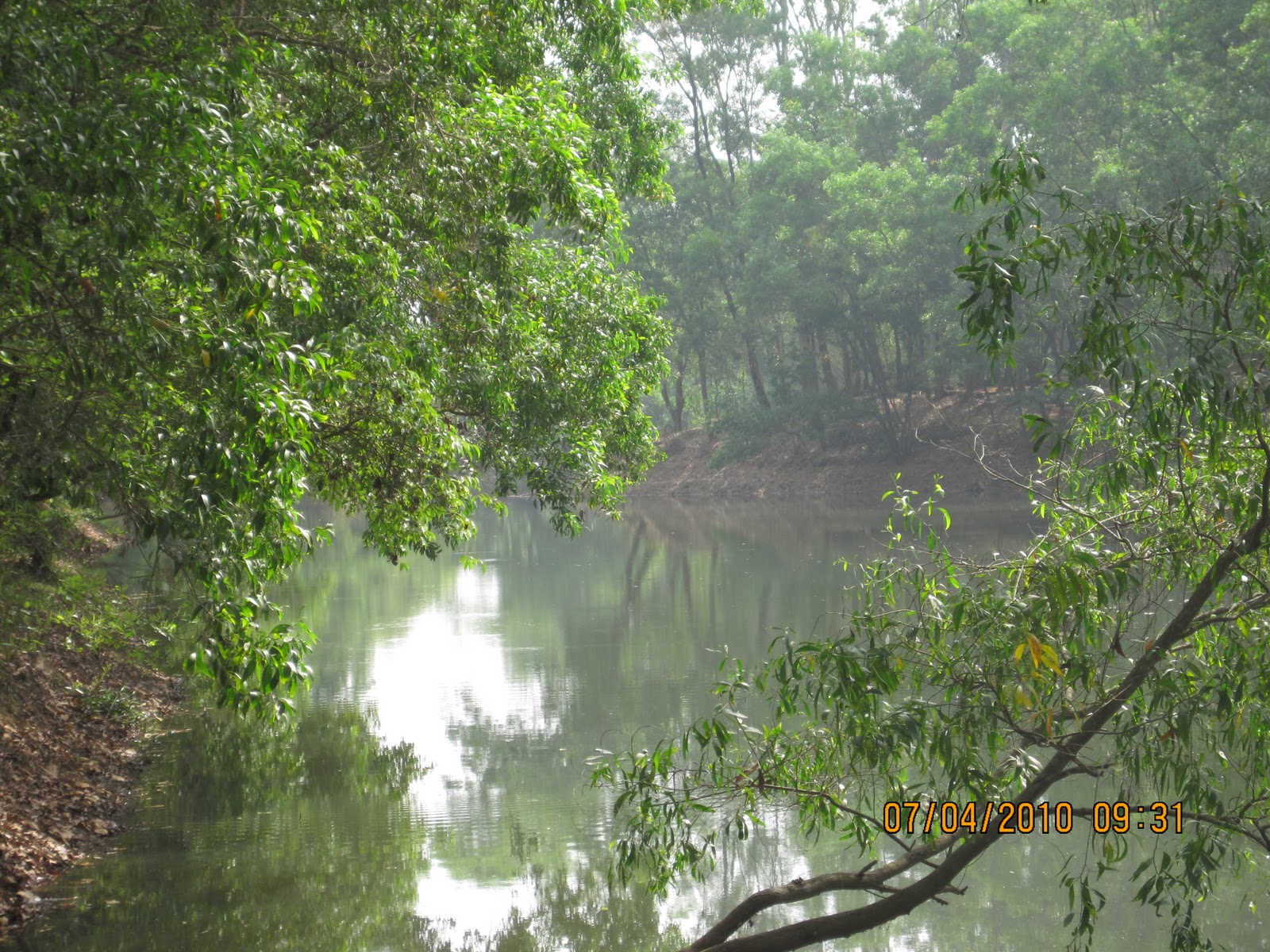 Incredible Bangladesh: Gazipur national park গাজীপুর ন্যাশনাল পার্ক