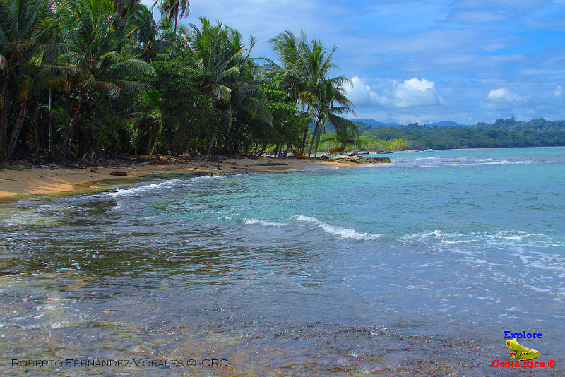 Manzanillo de Limón | Explore Costa Rica