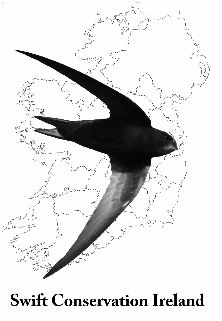 Swift Conservation Ireland