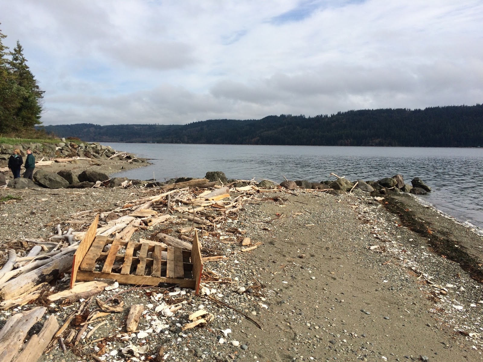 Gravel Beach: Dabob Bay