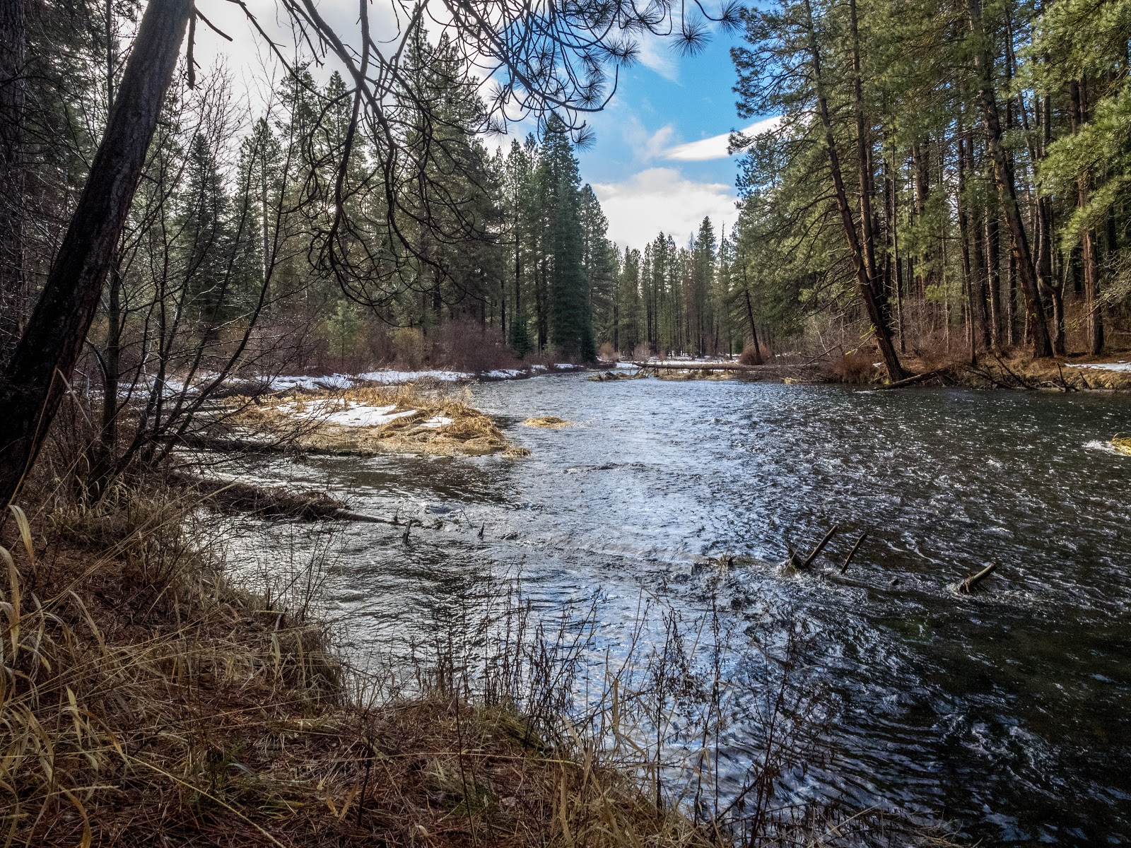 Footprints: Metolius River, Jan 23rd
