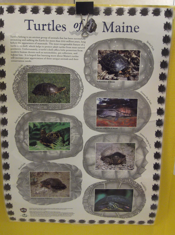 Life with my Joys: First Annual Science Fair