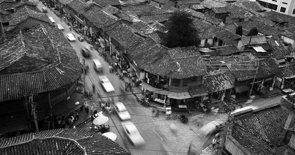 The History Girls: Life in History by Debra Daley