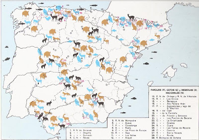 helloMrGómez: Geografía-El medio físico de España-Clima, vegetación y ...