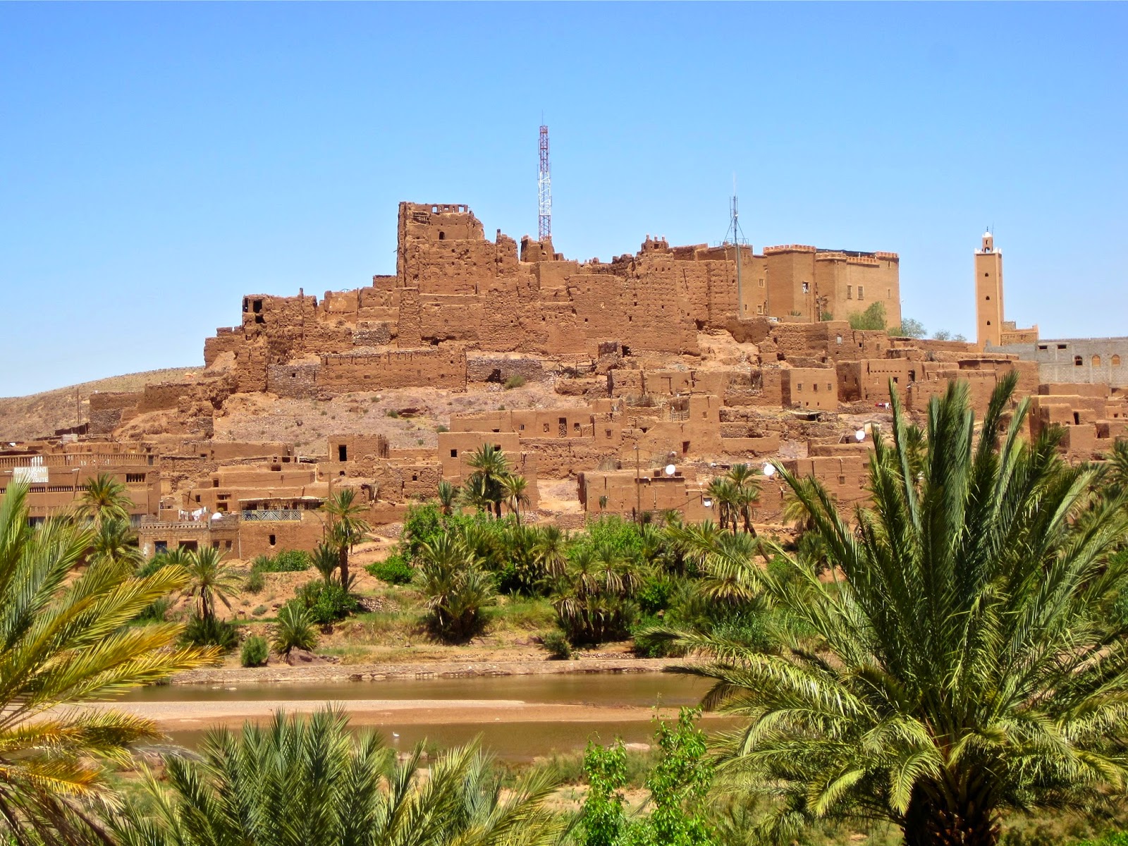 Misadventures in Morocco | ADELANTE