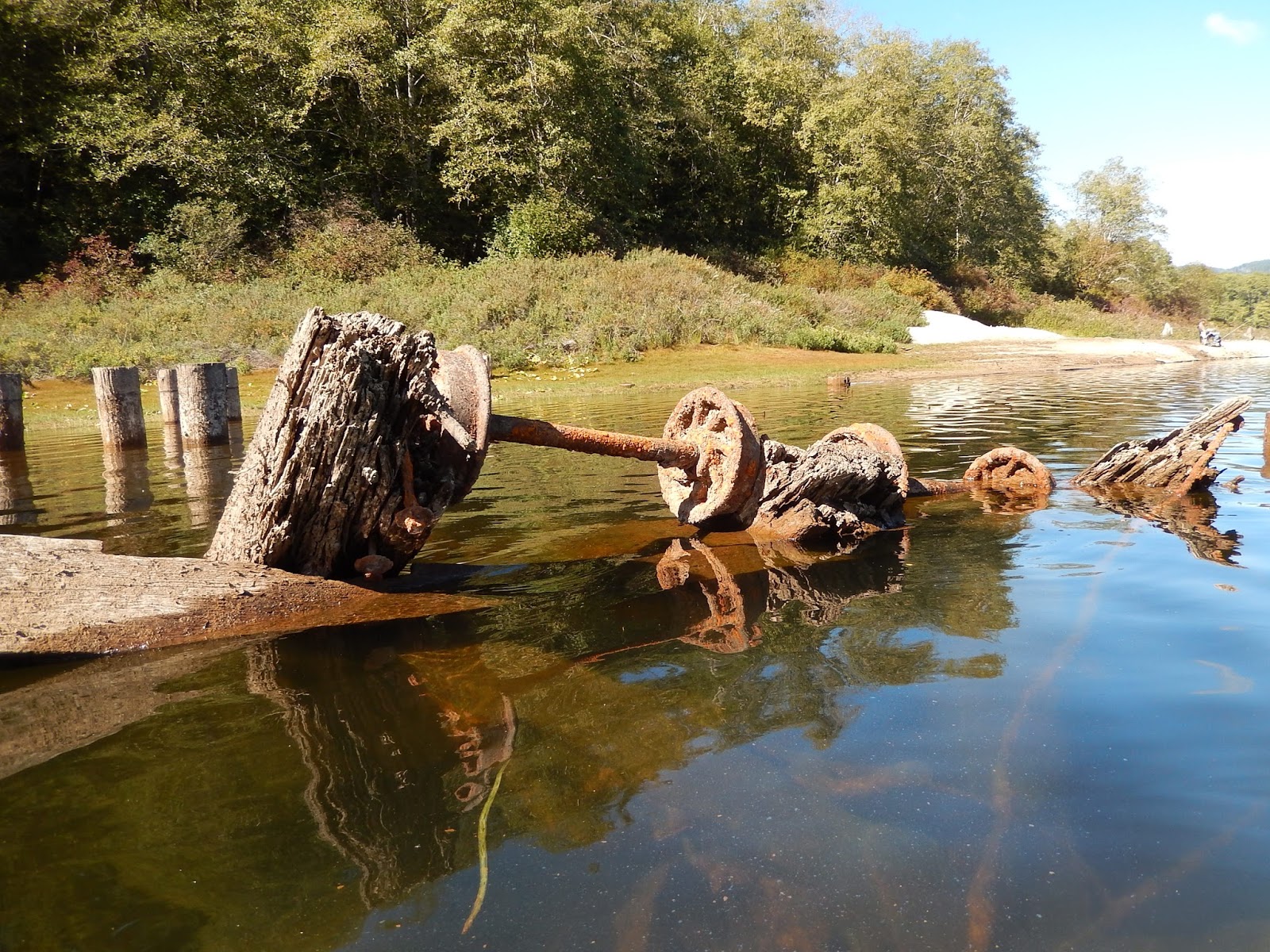 Powell River Books Blog: Railroad Logging Trestle on Nanton Lake, BC
