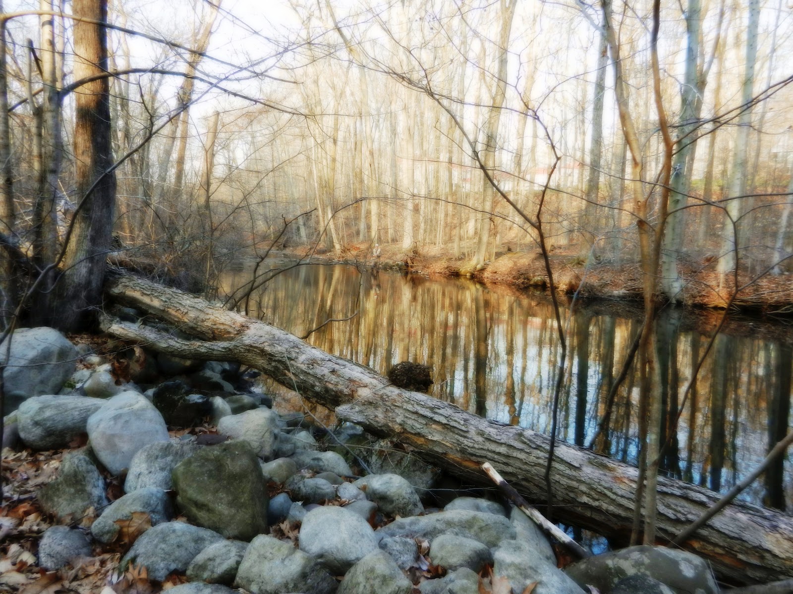 TM Gallery: kakiat park mahwah river