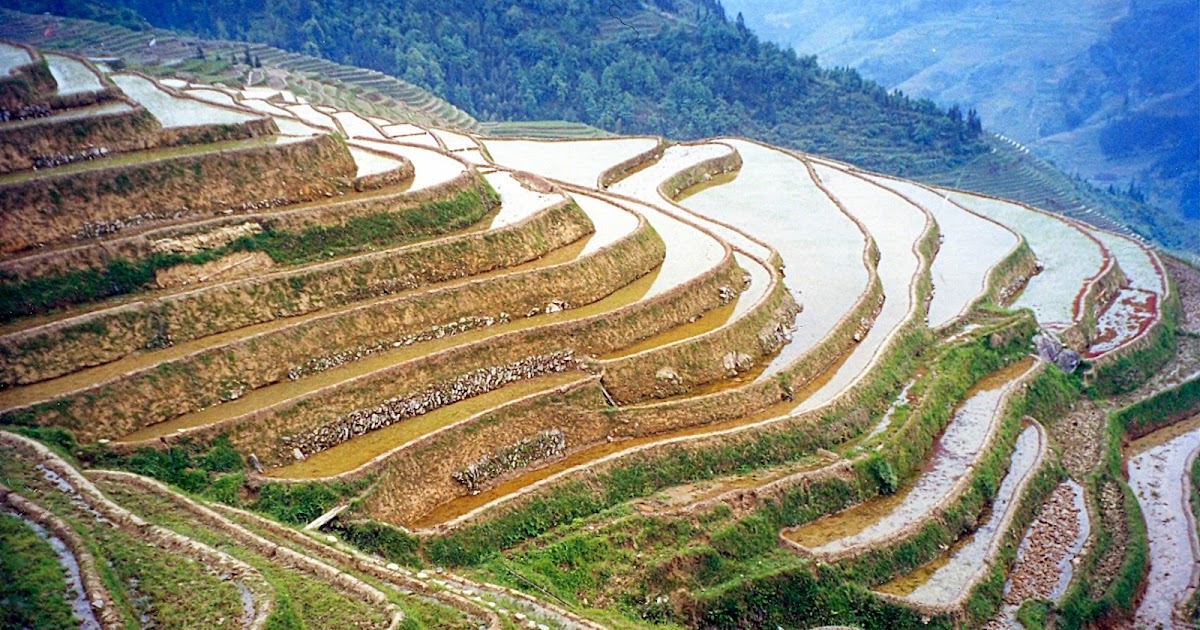 contour farming system