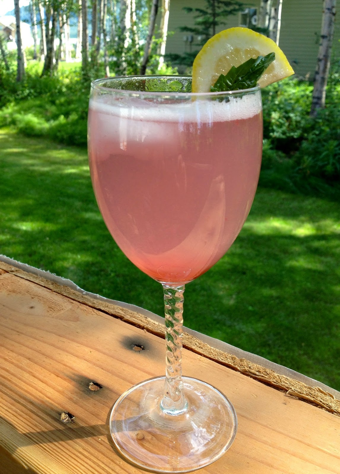 The Baked Alaska Project: Rhubarb Spritz