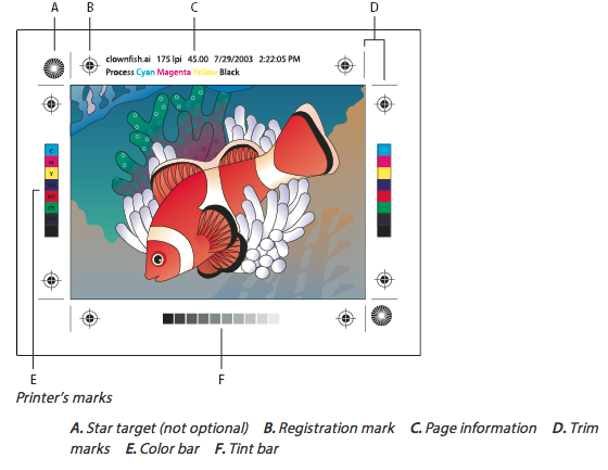 SDES2198 Advanced Typography and Publishing Design: Discussion Point ...