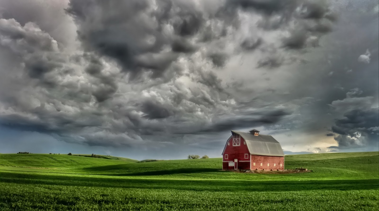 Palouse Photography Tours: Palouse May Tour Photos