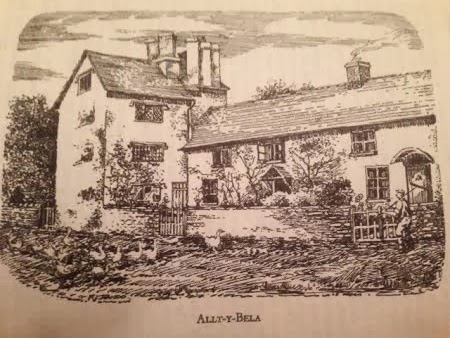 Usk Chirps: Wooded Hillside of the Wolf - Allt-y-Bela