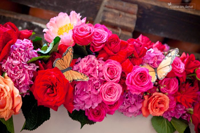 Acclaim Butterflies: FLORAL ARRANGEMENTS WITH LIVE BUTTERFLIES