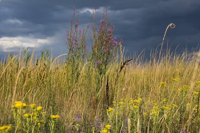 Történetek képekkel: Miért éppen a Puszta?