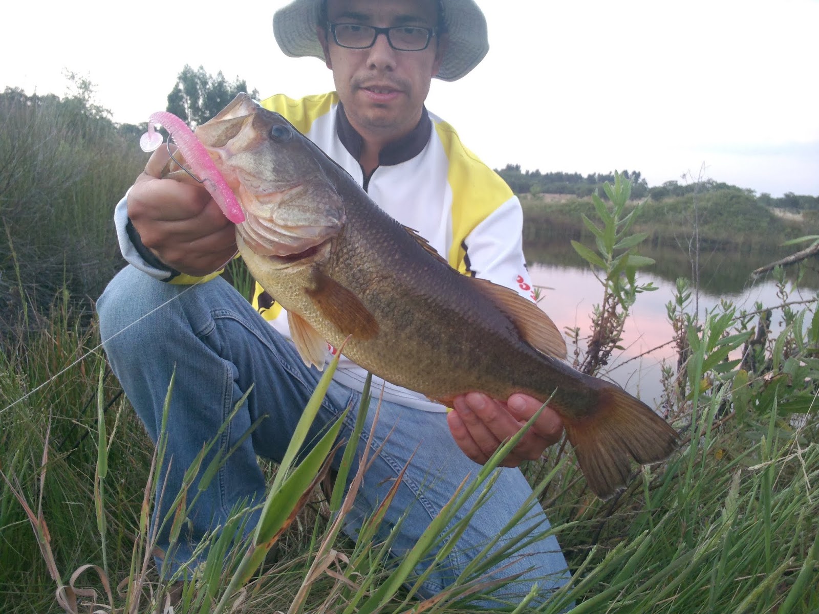 O melhor Alentejo do Mundo: Achigã