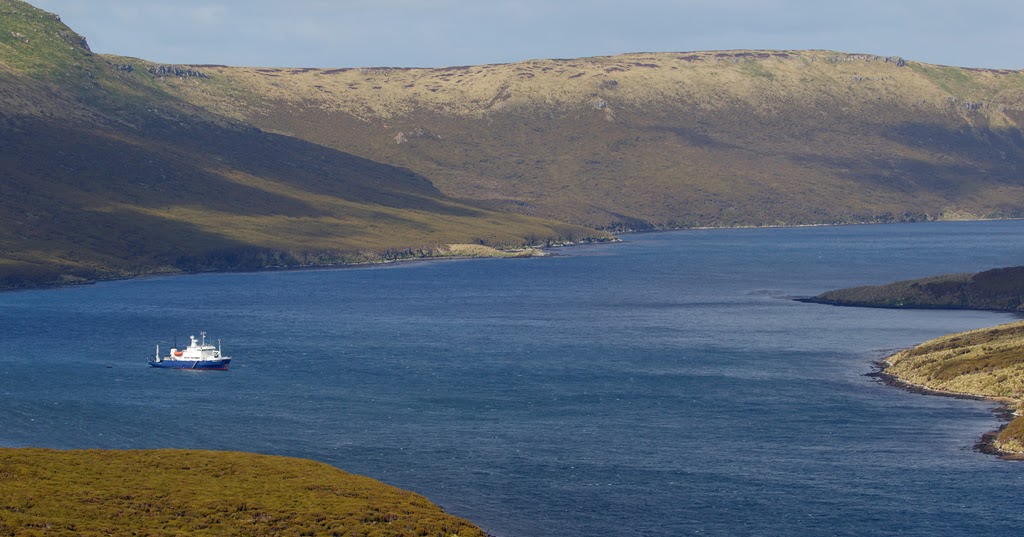 Binoculars in the Backcountry: Campbell Island - New Zealand
