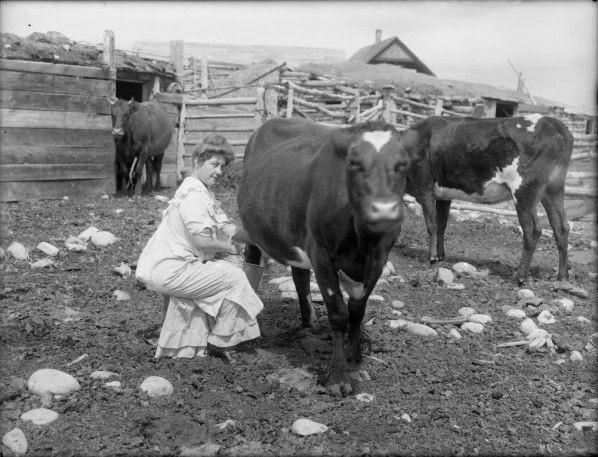 Awakenings: Milk, History & Memories