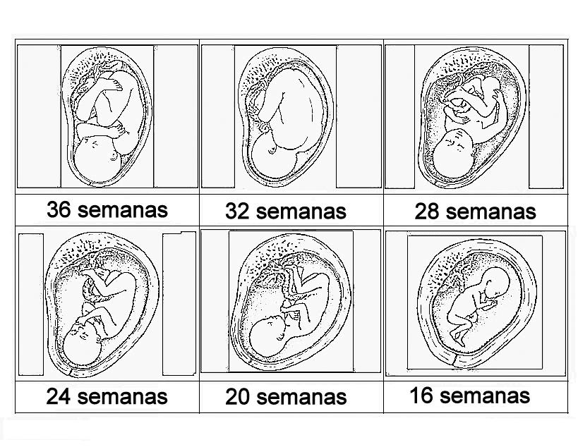 PEQUEfelicidad: RECURSOS MONTESSORI PARA ENSEÑAR EL PROCESO DE ...